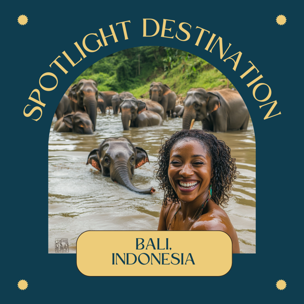 Why Bali? Discover the Allure of the Island of the Gods - Paradise VIP Travel: Group Travel ...